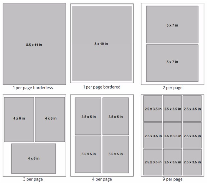 Wallet Size Photo Dimensions In Cm Literacy Basics