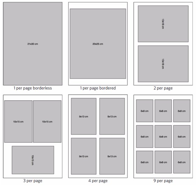 Wallet Size Photo Dimensions In Cm Literacy Basics